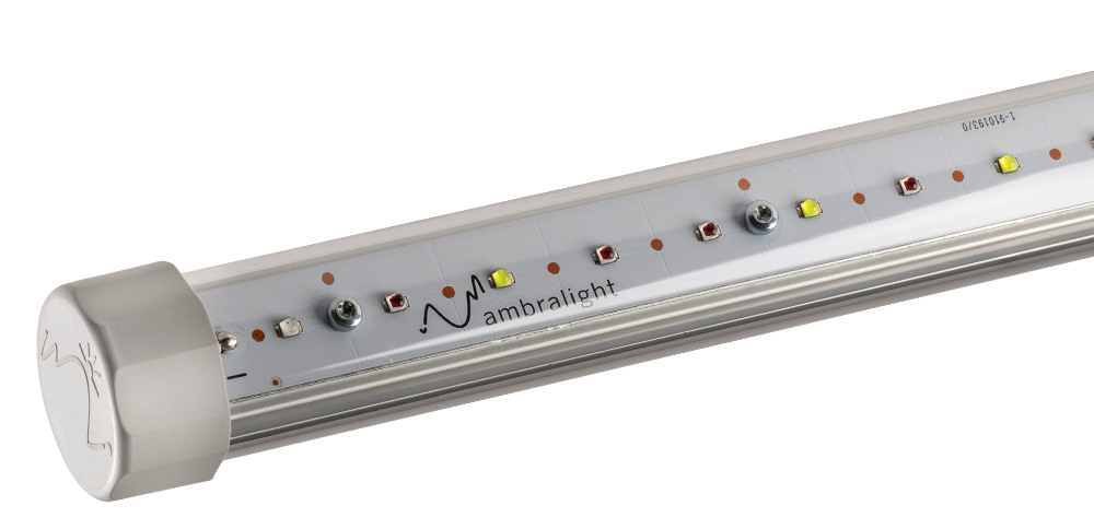 Aquila Multichannel | Dimmable LED lamps for plants research