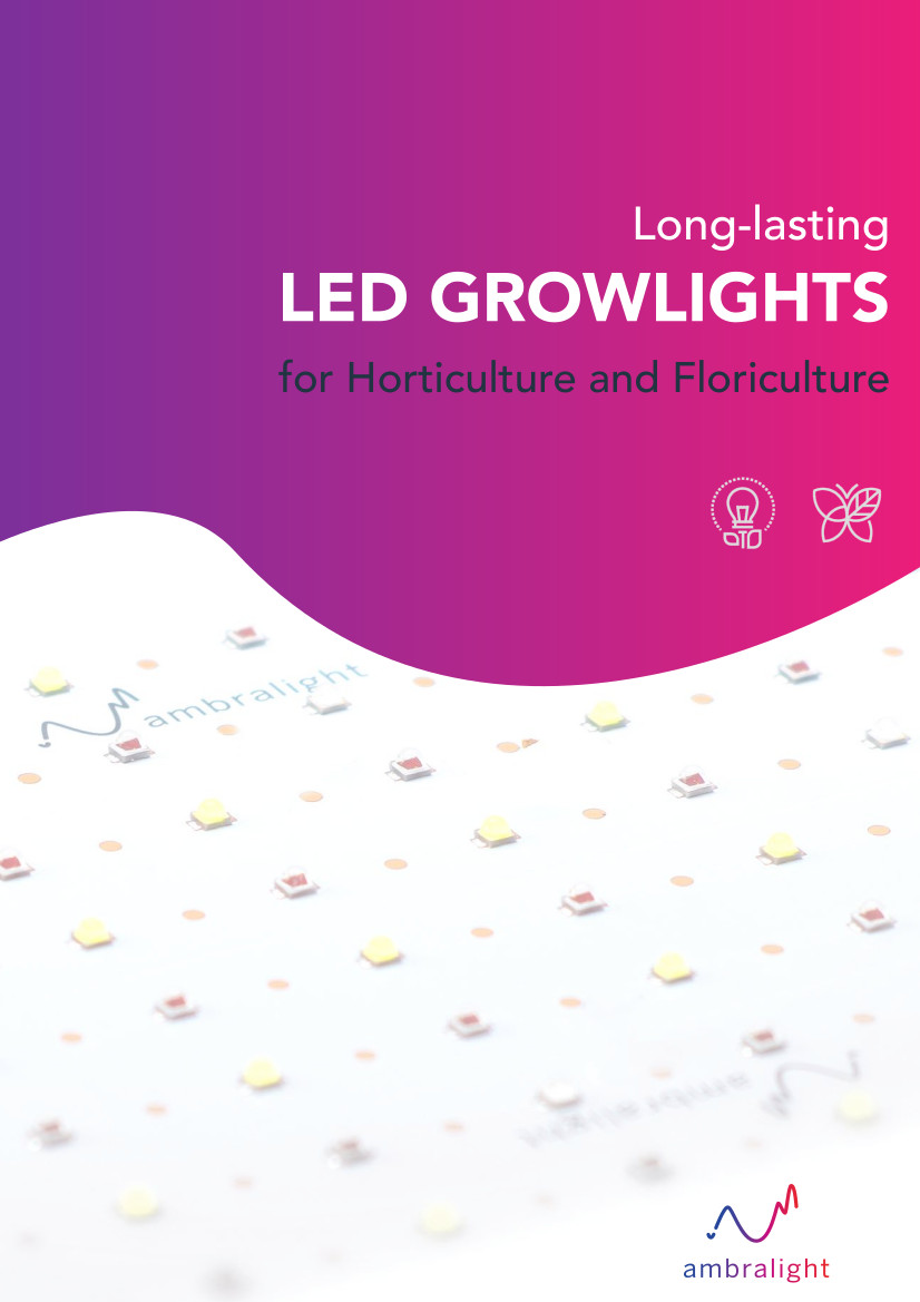 Découvrez le nouveau catalogue Ambralight - Ambralight